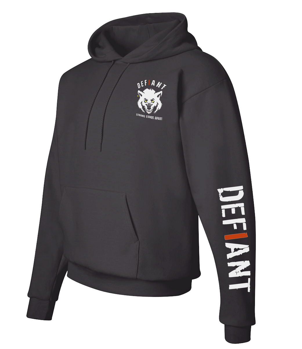 NEW! - WEAR YOUR DEFIANCE ON YOUR SLEEVE - LIGHT WEIGHT HOODIE - TRUE ...